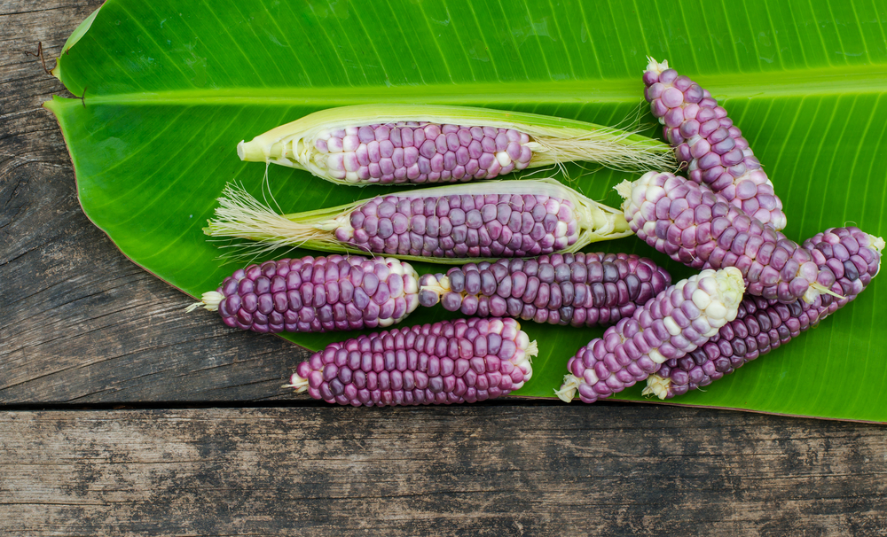 Maíz Morado: 6 Propiedades y Beneficios (+ Receta)